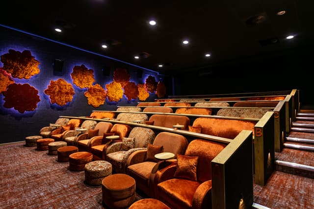 Hire The Flower Bowl Entertainment Centre | Private Cinema Hire ...